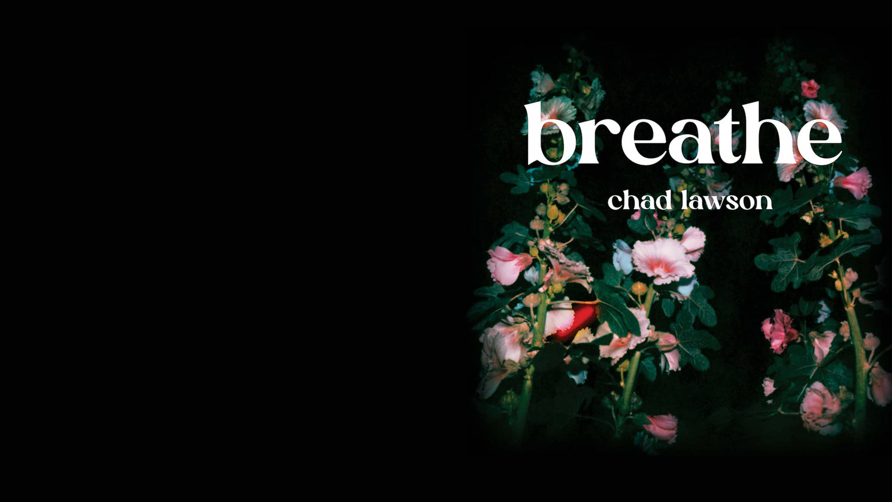 Chad Lawson, Steinway Artist, Pianist And Composer